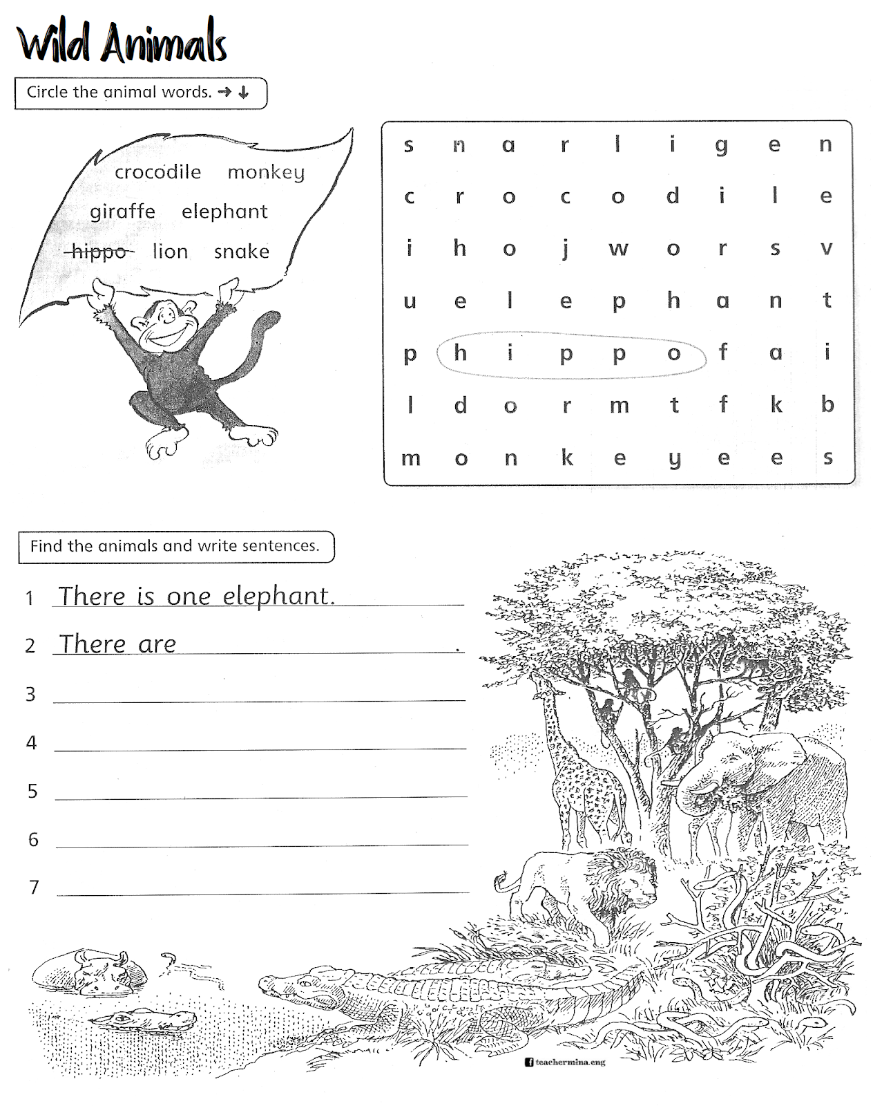 Teachermina: [activity] wild animals