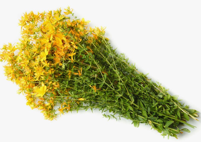 Akademija za estetiku i kozmetologiju: Kantarion-prirodni antidepresiv