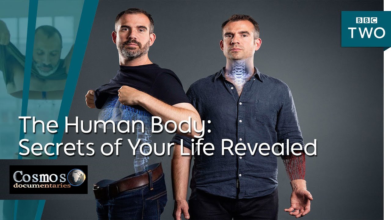 The Human Body (TV Series) - Bbc The Human Body