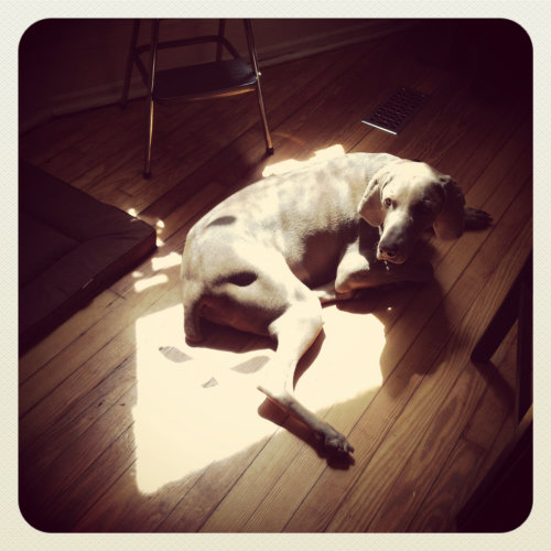 Summer Weather & Our "Sun Dog" | 17 Apart