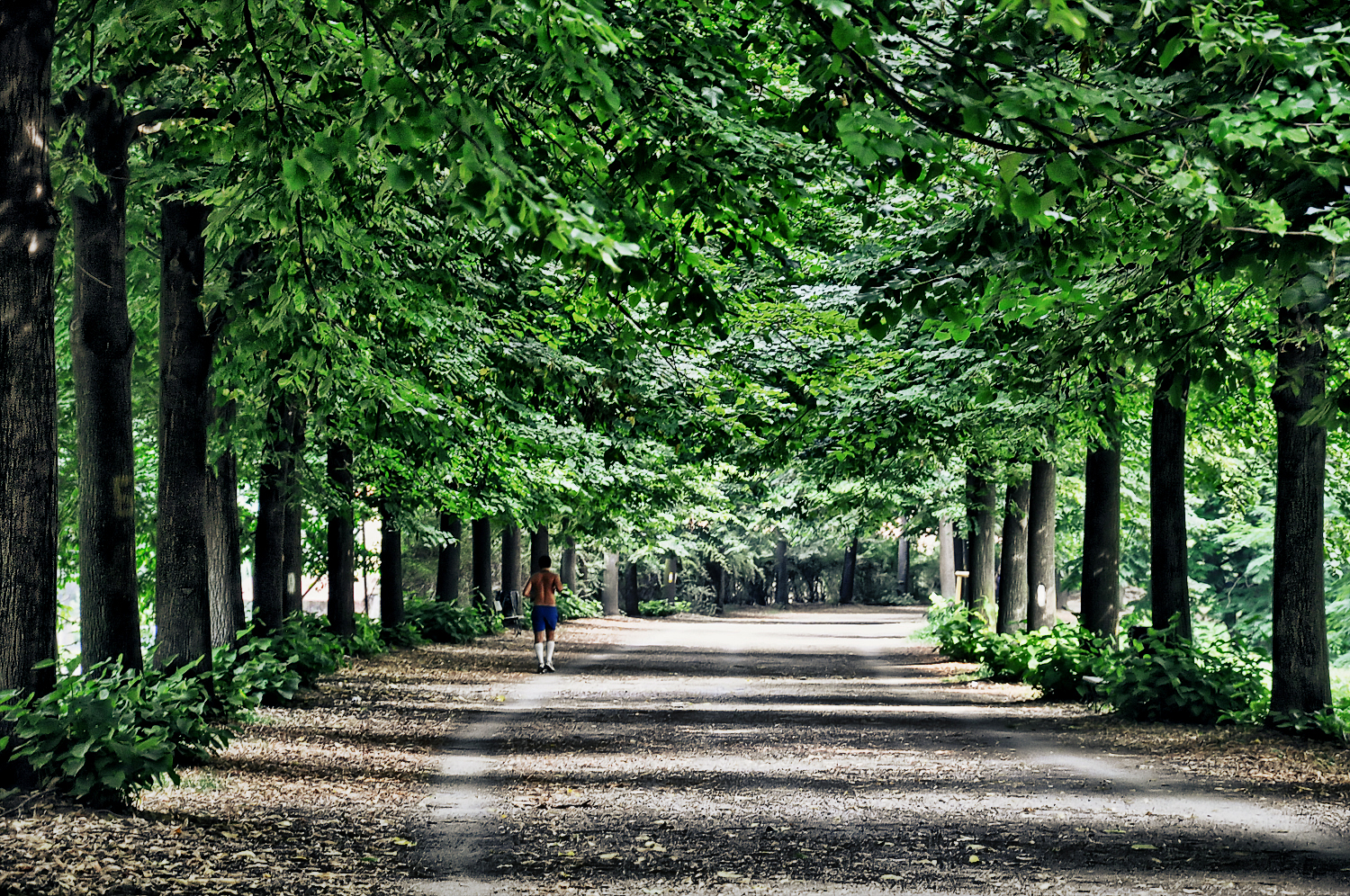 Torino In My eyes: Jogging at Parco Colletta