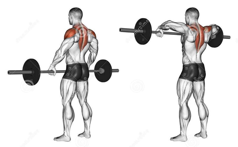 5 huge Traps Exercises