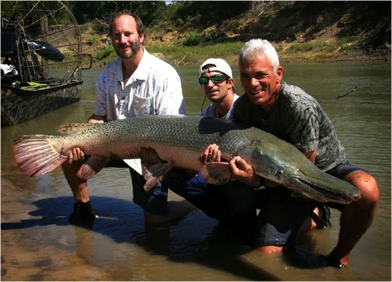 Na África Selvagem: Jeremy Wade e os seus 21 monstros do rio criaturas ...