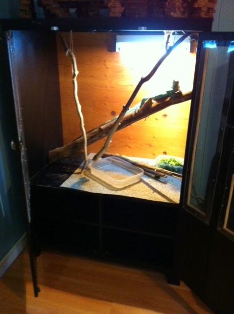 ONTARIO IGUANAS: HOME MADE ENCLOSURES