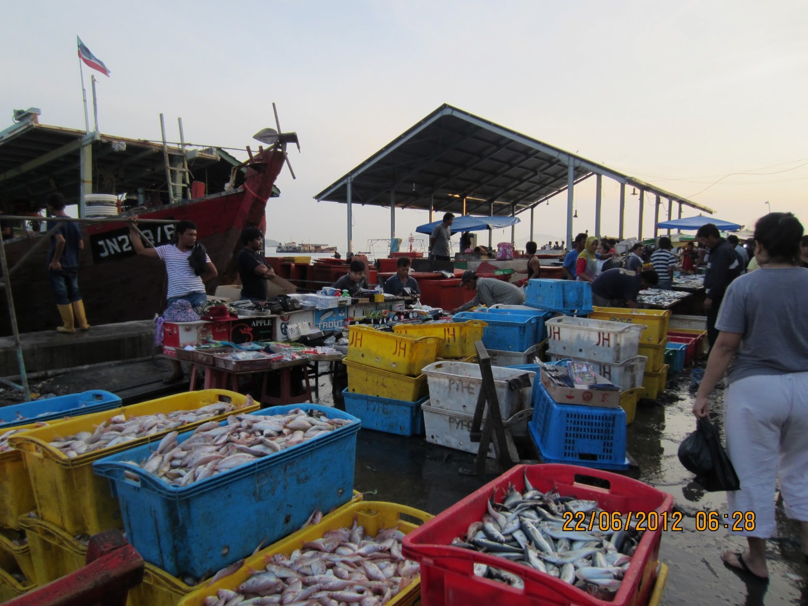 Creating Wonder - the Petrosains Blog: Keunikan Gamat di Laut Sabah