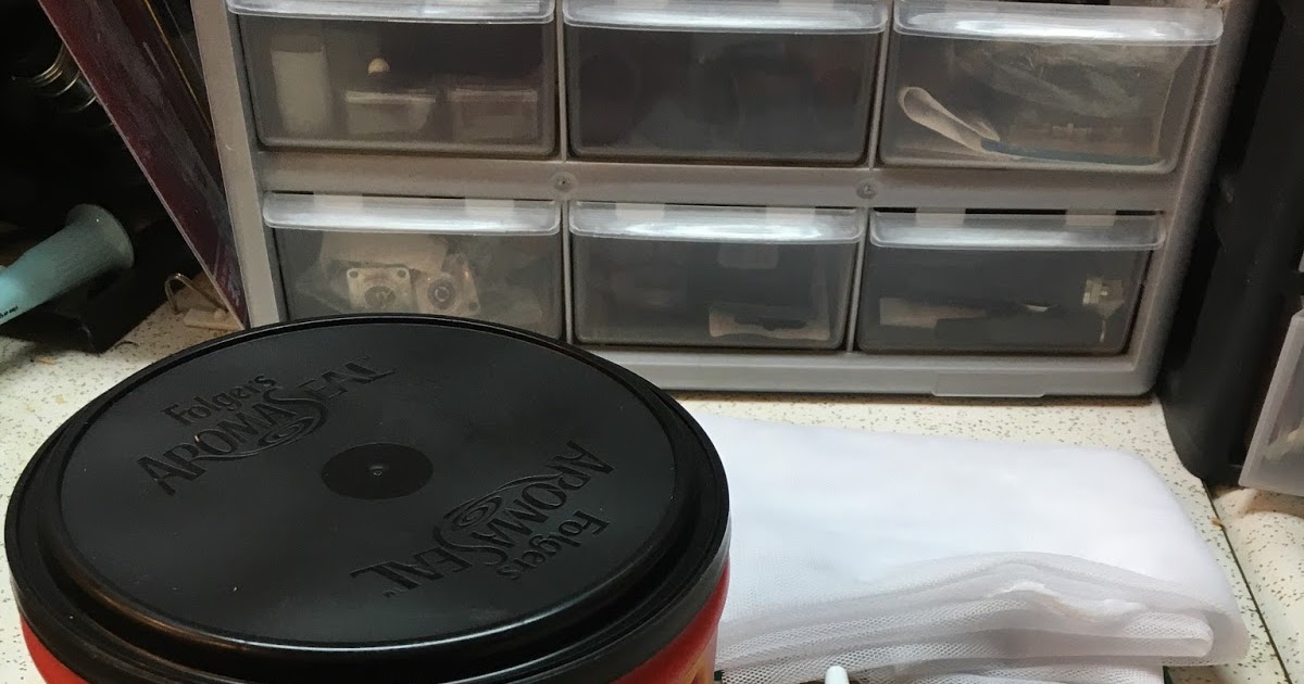 BlueDayLabs: Make Your Own Coffee Container Bug Box For Kids