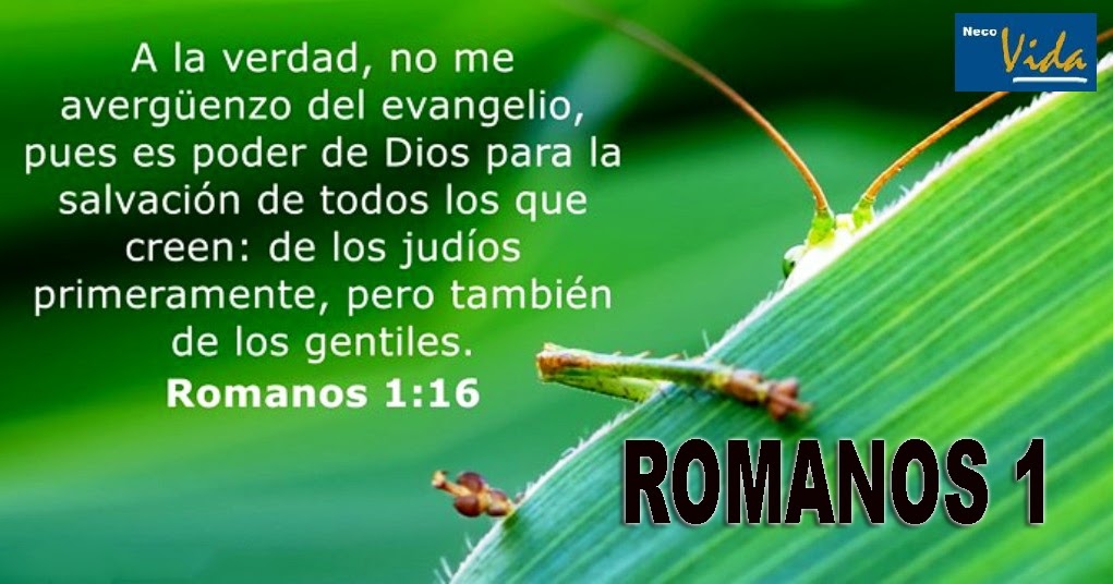 Neco Vida: Leyendo... Romanos capítulo 1