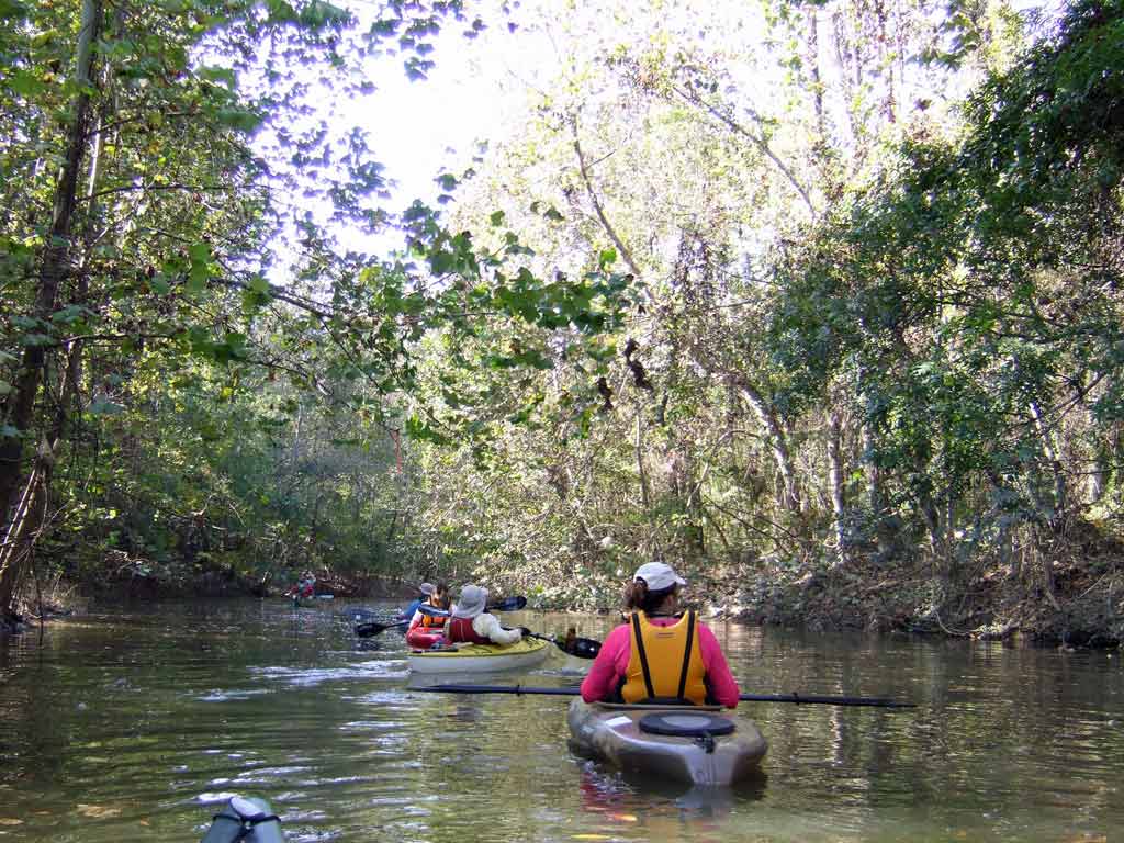 Kayaking the Mobile-Tensaw River Delta: 11/07/2009 - ASRT Ghost Paddle