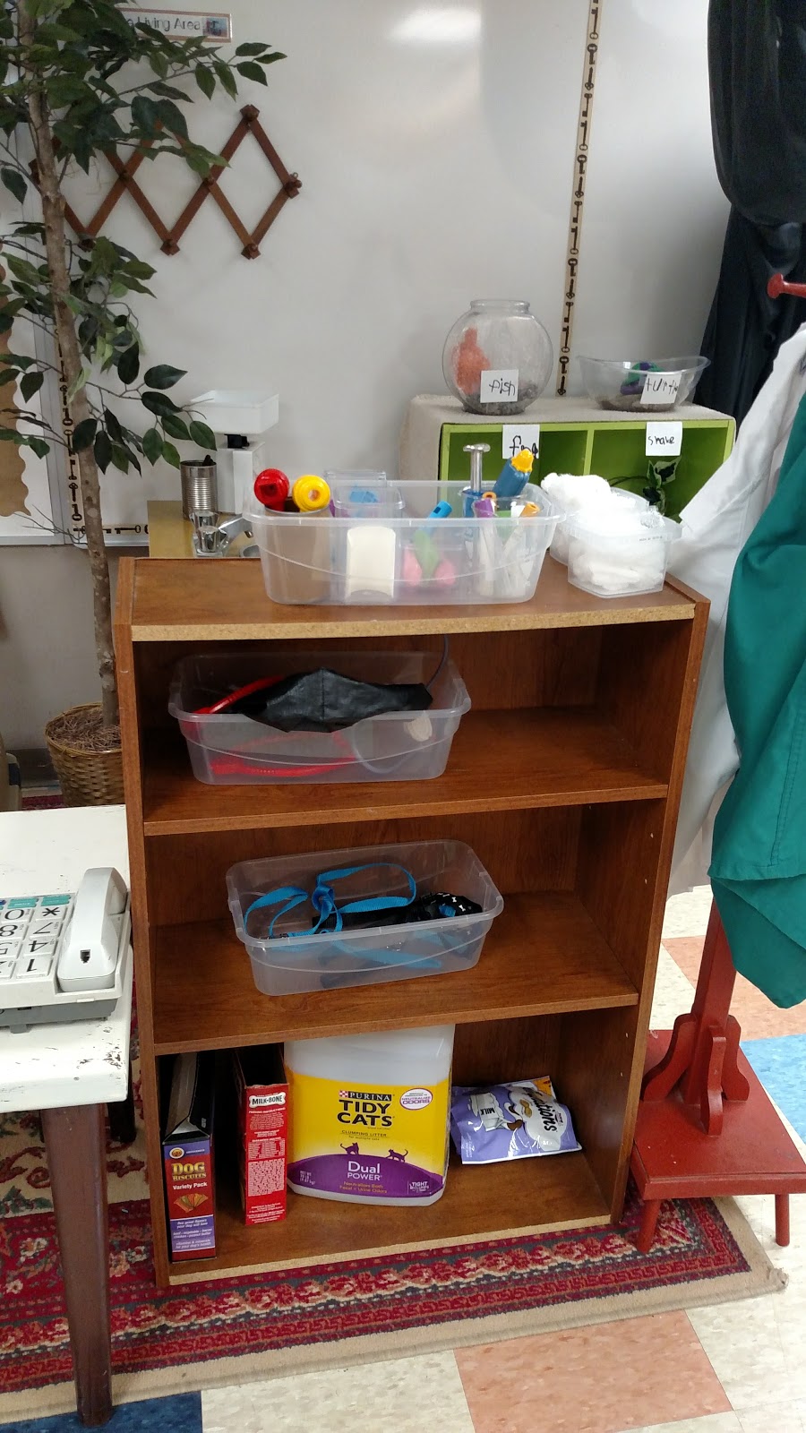 Child Centered Kindergarten- Ms. Rogers and Ms. West's Co-Teaching ...