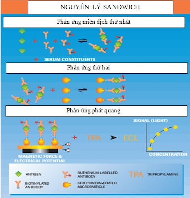 học Y: xét nghiệm miễn dịch