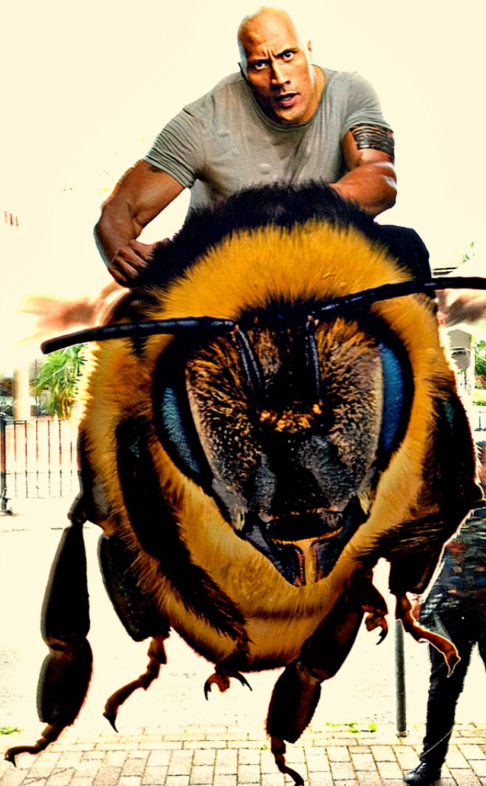 In The Mouth Of Dorkness: A Fistful of Rocks! (Brad's Picks)