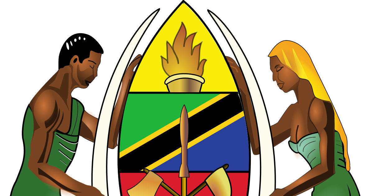 Government Job Opportunities At Tanzania Institute Of Accountancy TIA government-job-opportunities-at-tanzania-institute-of-accountancy-tia
