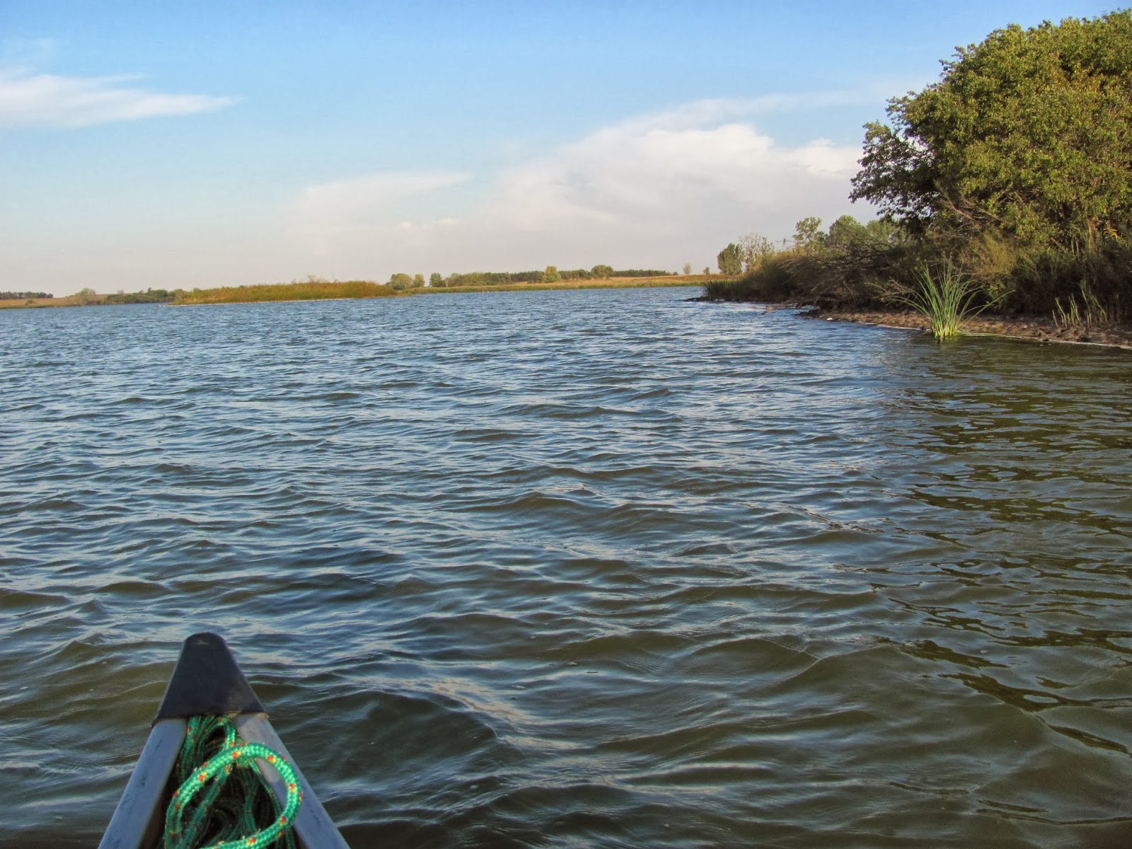 Kayaking the Lakes of South Dakota: Pelicans on Grass Lake