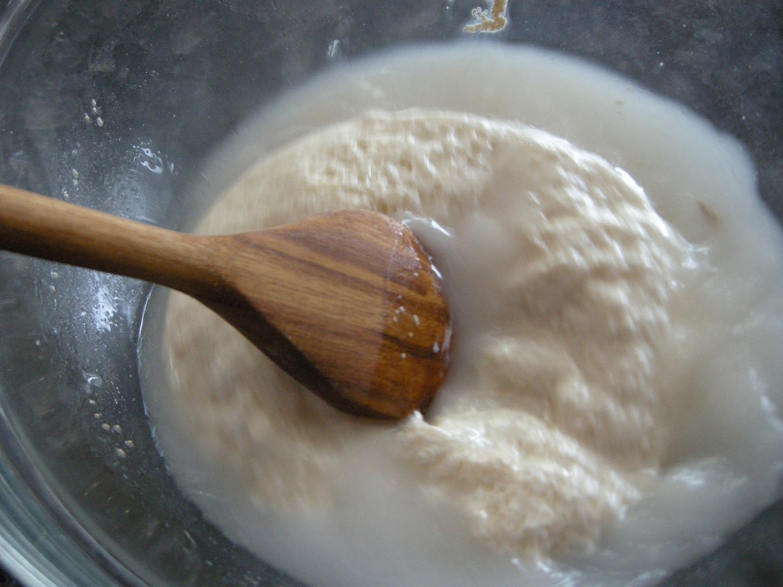 Kitchens Are Monkey Business: Rosie Makes Filone. It's Bread.