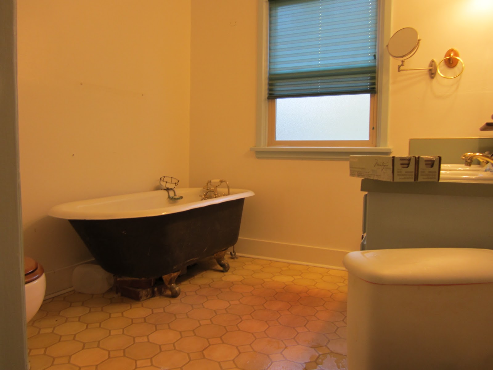 Thoughts from a Foster Family