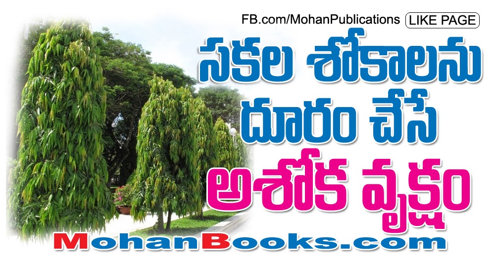 Bhakthi books: అశోక వృక్షం | Ashoka tree | GRANTHANIDHI ...
