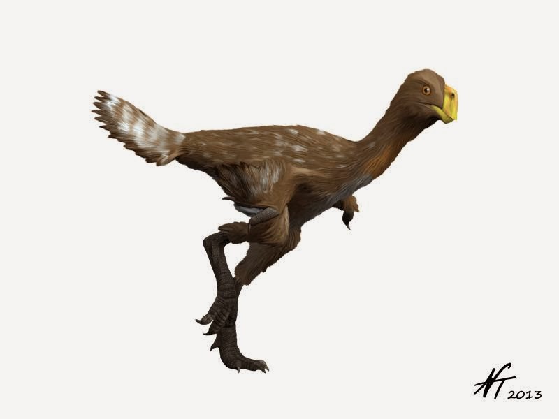 Paleoexhibit: November 2013