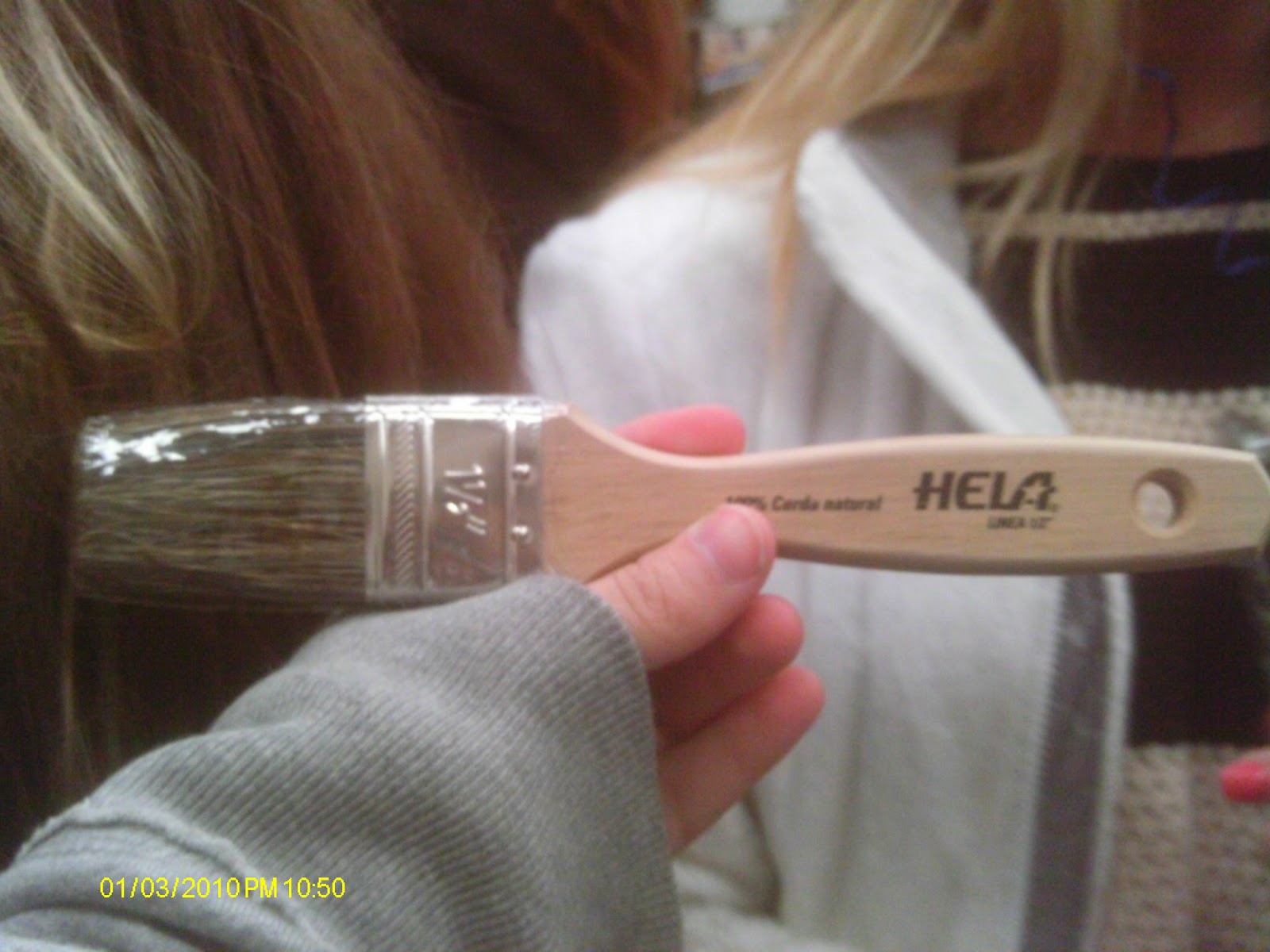 Alex Josowitz's Plus3 Chile Experience: May 14: Tools, Tomatoes, and ...