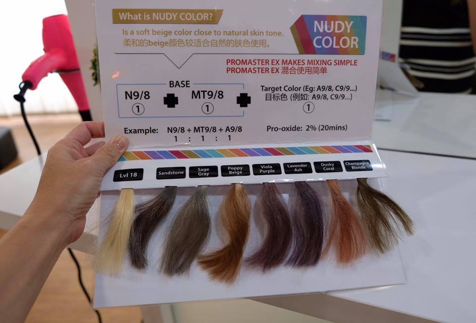Malaysian Lifestyle Blog: Hoyu Promaster Ex Hair Color @ Hairworx ...