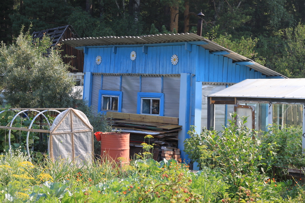 Siberian Life: Dacha