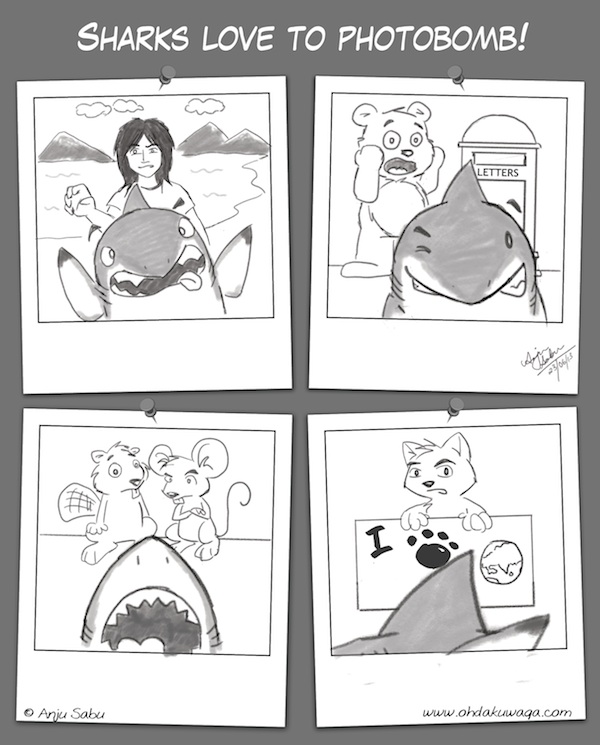 "Oh, Dakuwaqa!" - The Shark comics and cartoons: Sharks love to photobomb!