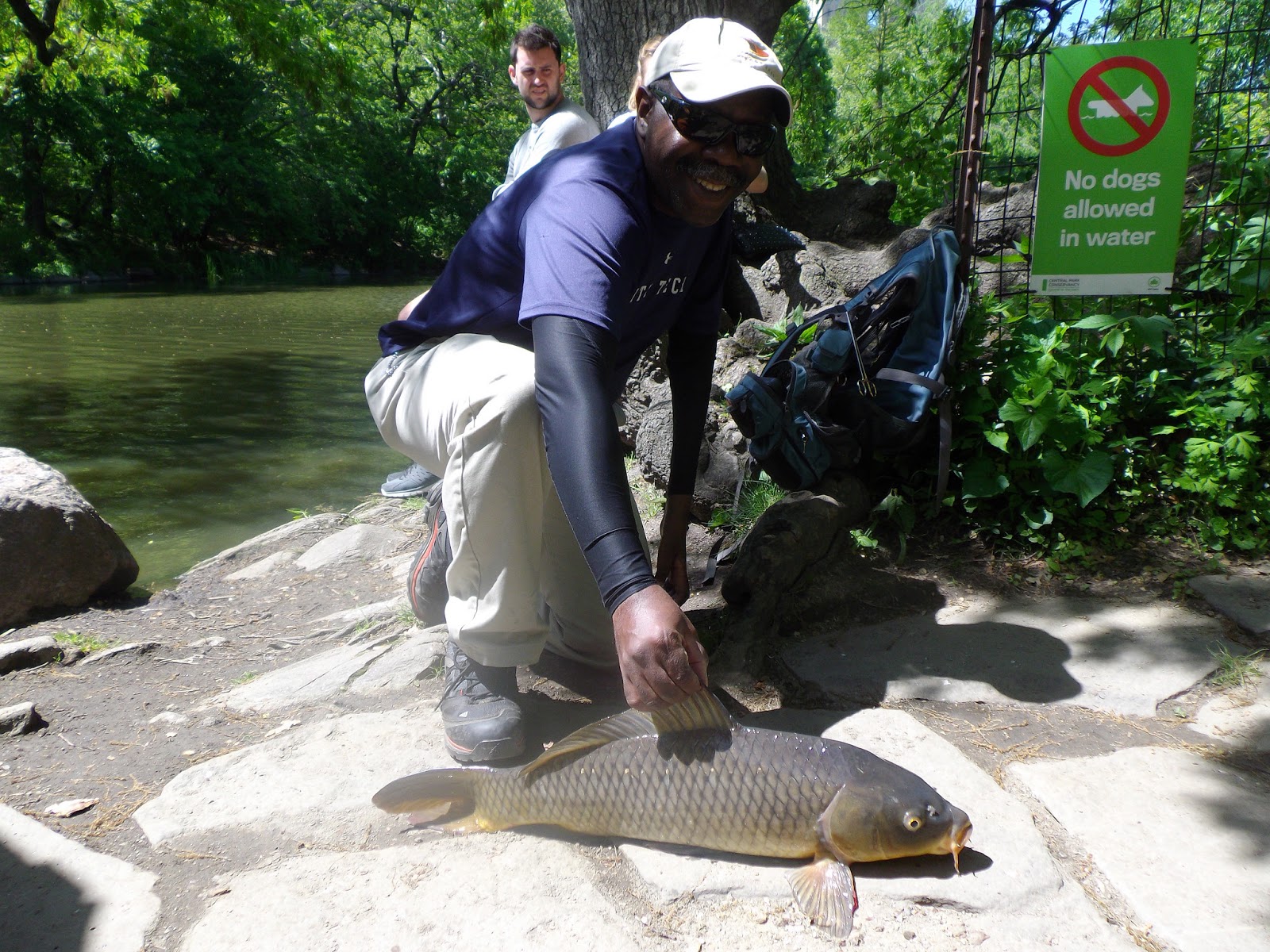 The Great Lakes of NYC: Fantail Carp caught in Central Park