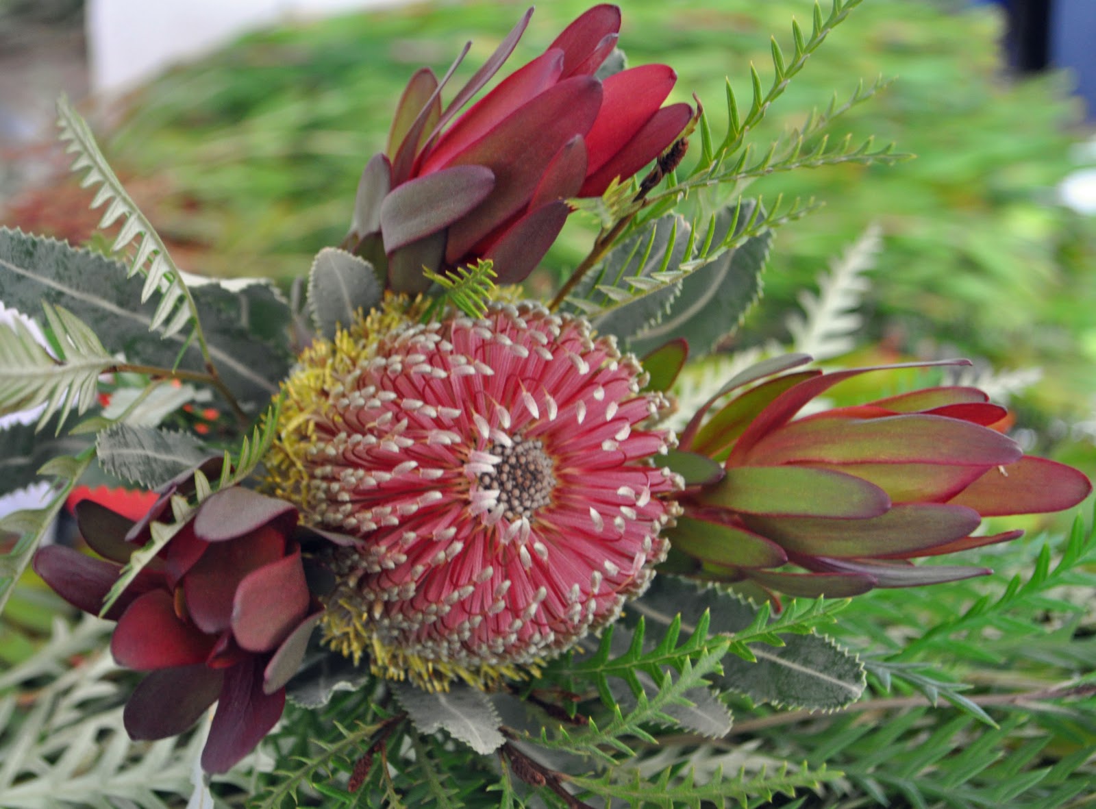 A Passion for Flowers: Autumn Protea Bouquet Recipe