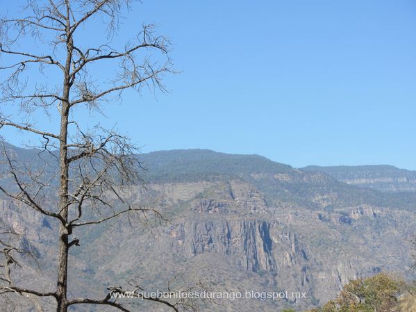 Qué bonito es Durango: Sierra Madre Occidental