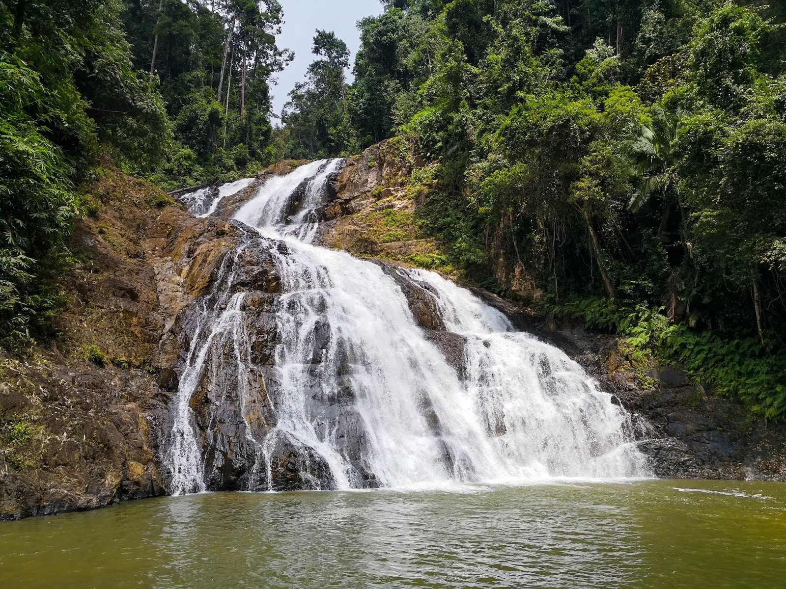 2D1N Endau-Rompin National Park via Selai : Waterfalls Paradise ...