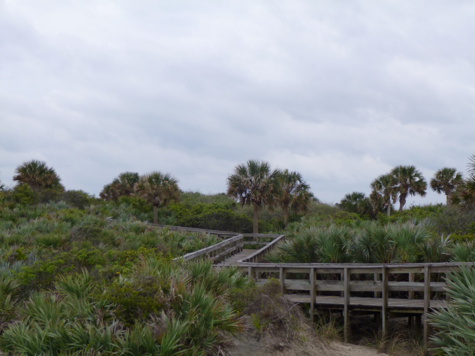 Dreaming in a Small Town: Ponce de Leon Lighthouse