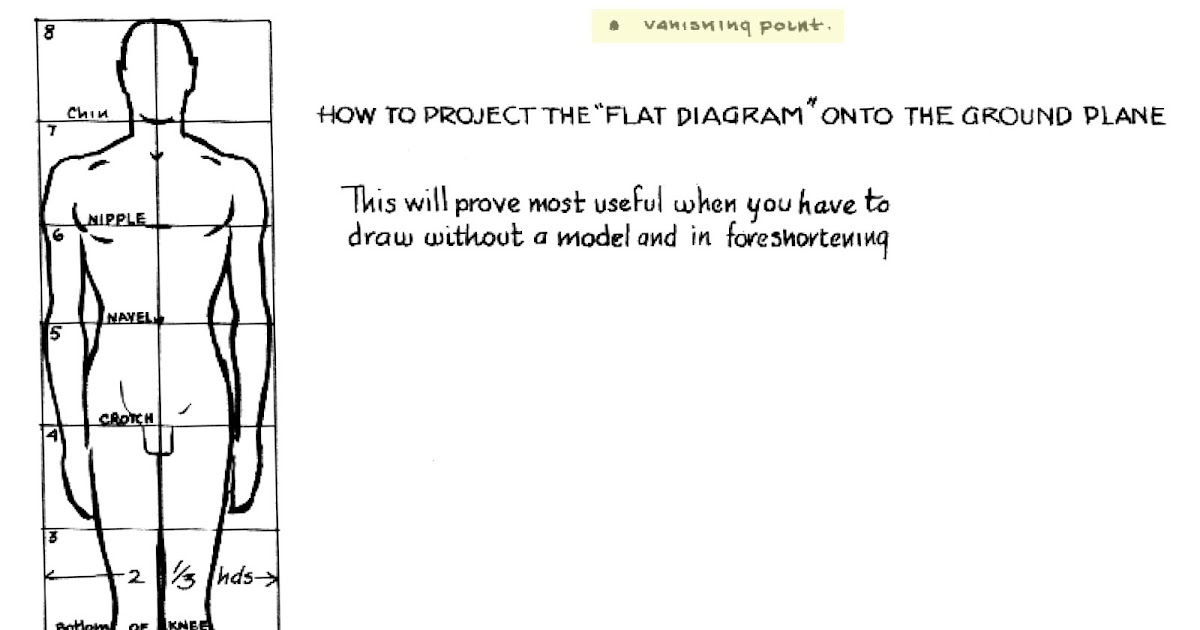 Kreated by Krause: Andrew Loomis's "Flat Diagram"—Part III