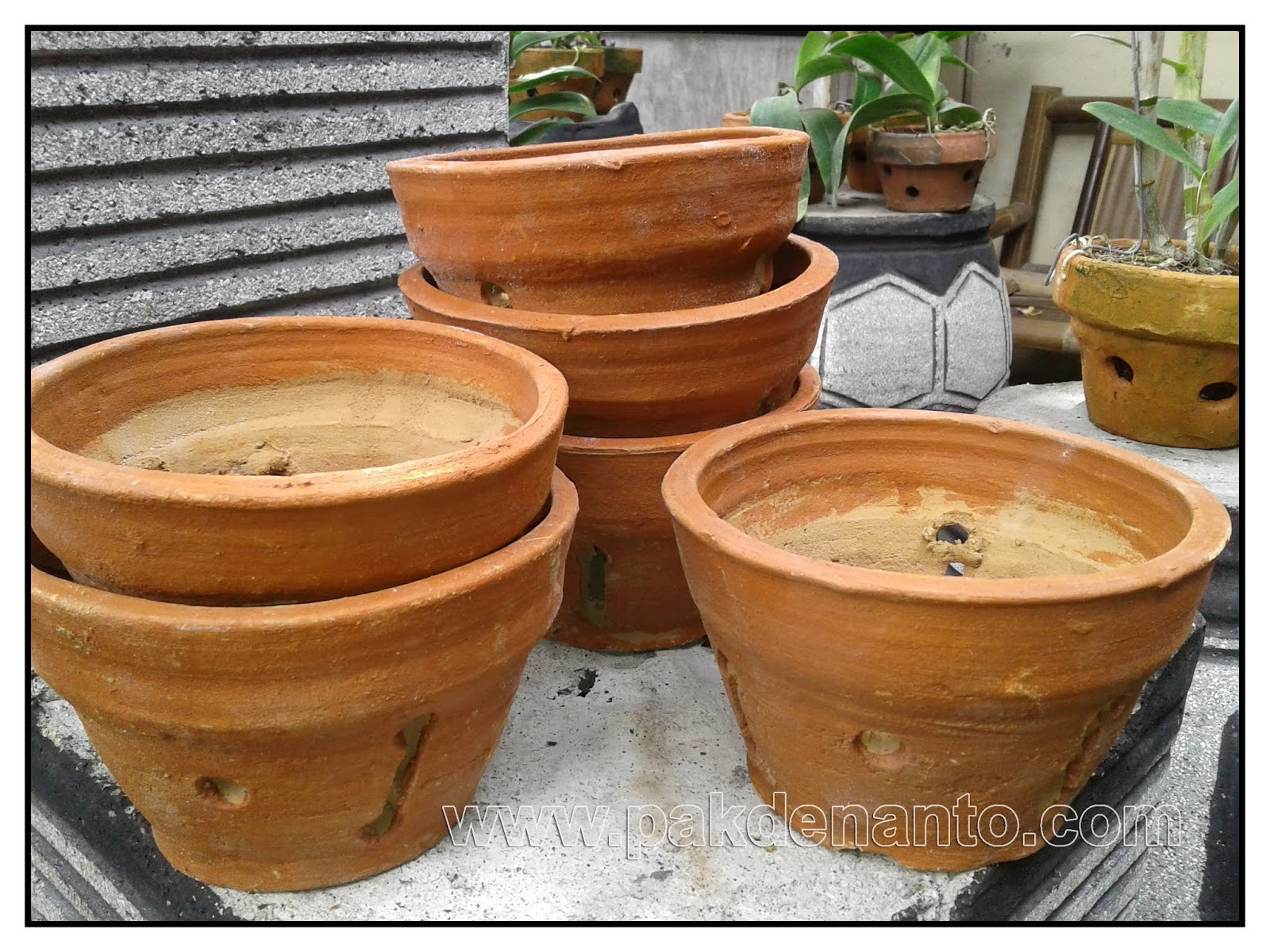 Jual pot anggrek di Jogja | PAKDE NANTO