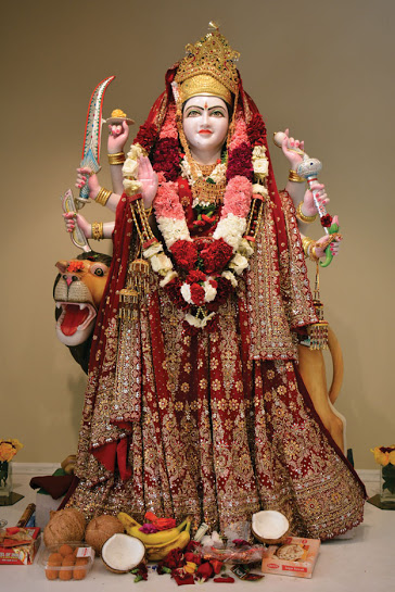 Show my best: Different Forms Of Navdevi