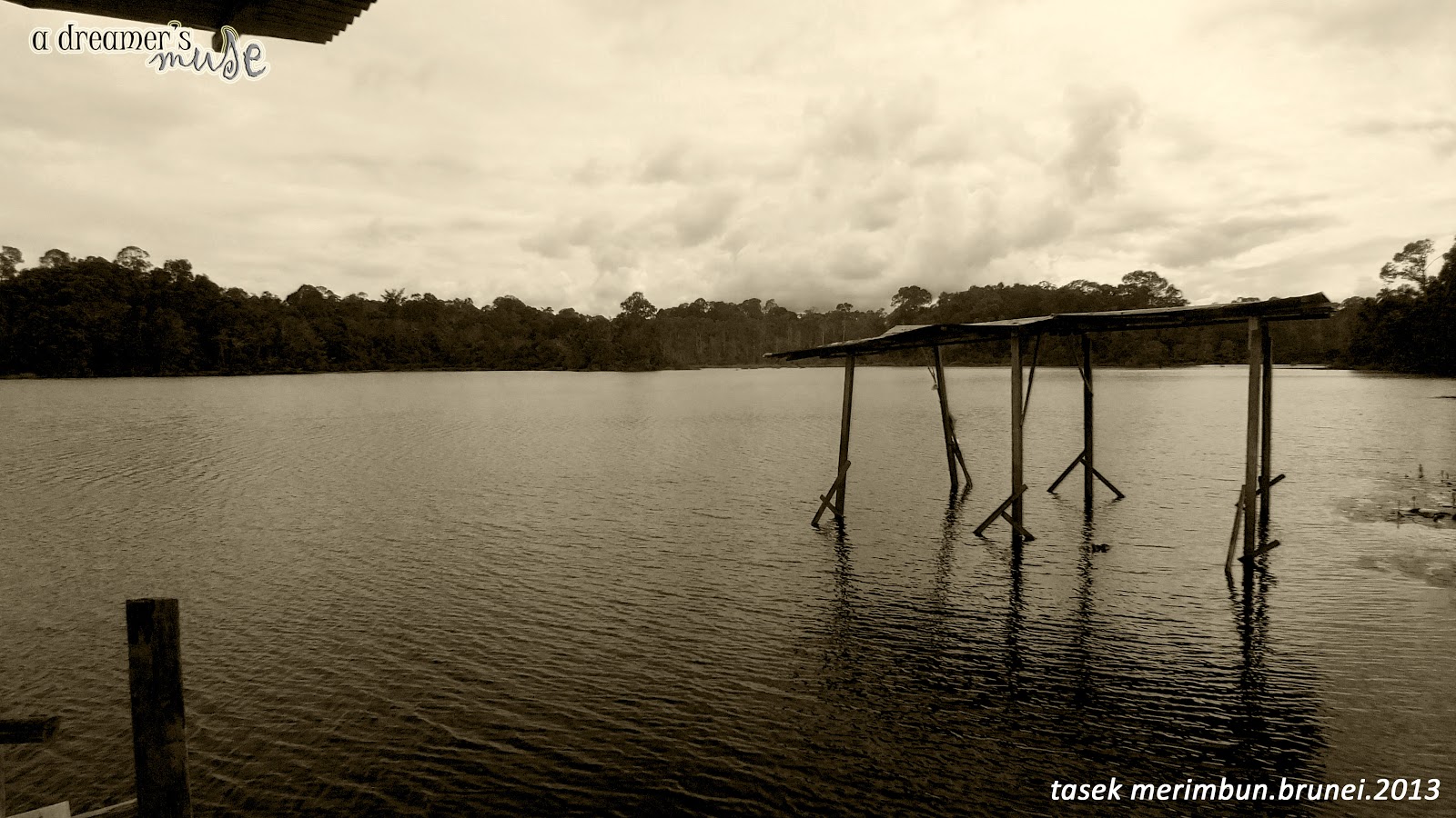 A dreamer's muse: Tasek Merimbun Heritage Park