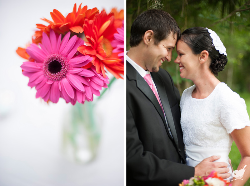 Valerie Joy Photography: Mennonite Wedding . Sarasota Wedding Photographer