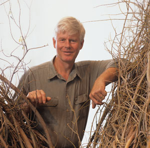 arttalk1301: Patrick Dougherty