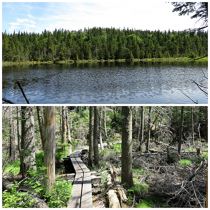 Hiking in the White Mountains: Mahoosuc Range Traverse