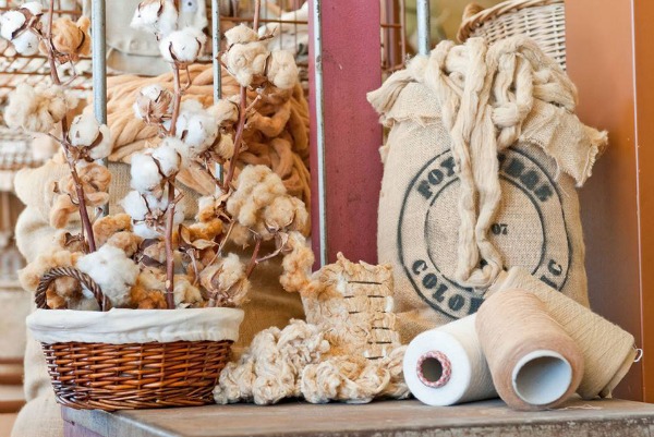 The Fashion Journalist: Organic Cotton Colours: Sustainable fashion ...