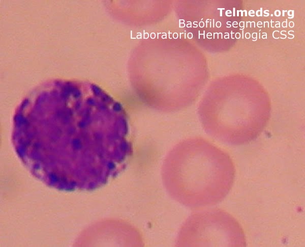 Series Celulares de Hematología