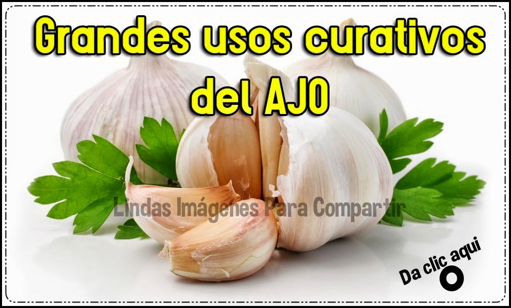 Grandes usos curativos del AJO