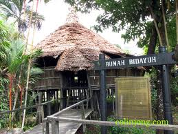 Bluebird: Bidayuh Culture