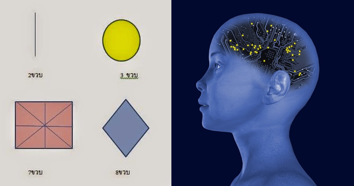 Learn with Prin เรียนรู้ไปพร้อมกับน้องปริญญ์: ทดสอบไอคิวลูก แบบง่ายๆ ...