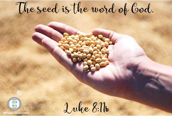 The seed is the Word of God | Bible Fun For Kids