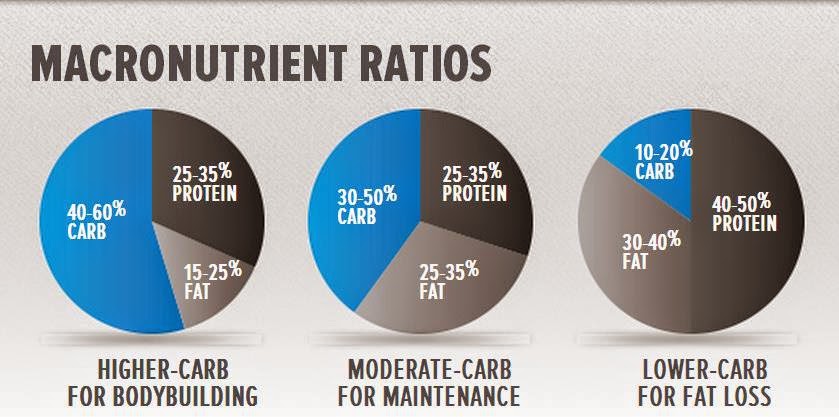 The Beginner’s Guide to Proper Nutrition: CHAPTER 4: Different People ...
