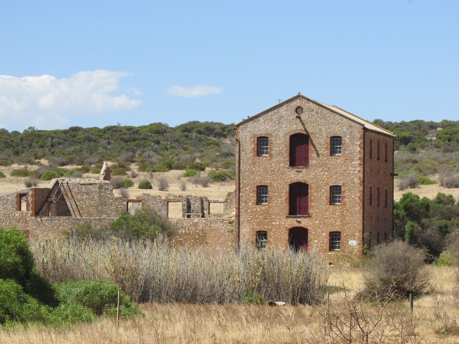 Finding Thomas Dames: Finding Thomas Dames