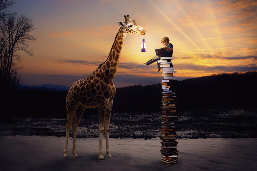 sarah vandenberk unit 1 photography: Composite / Manipulated Images ...