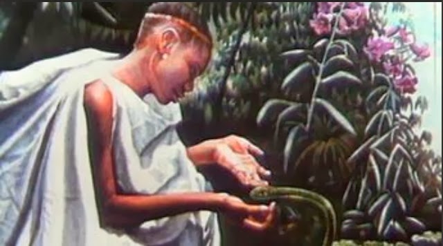 Alexis's Children Literature Analysis: Mufaro's Beautiful Daughters