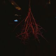 Dramaturgy with The Dragon: Kevin Rolston @ Edfringe 2016 | The Vile Blog