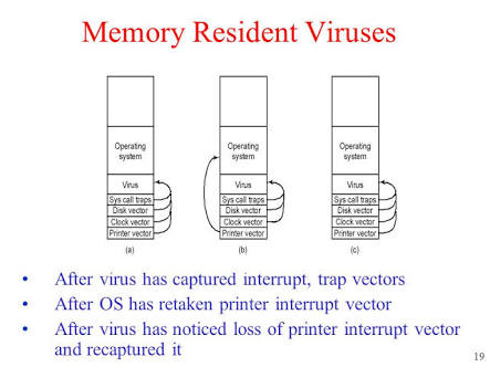 Blog SenaSurvivor: Jenis-jenis virus dan penjelasan nya