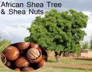 It's Your Life: Creating Shea Butter Naturally